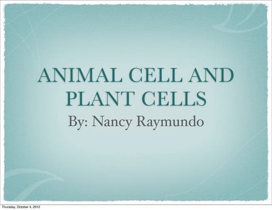 Animal cell | PPT