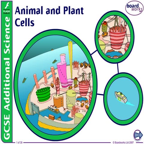 Animal and Plant Cells v1.0.ppt animal and plant cell | PPT