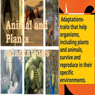 Animal and Plants adaptations Science G5 | PPTX