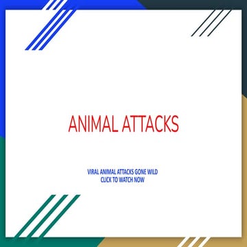 ANIMAL ATTACKS | PDF