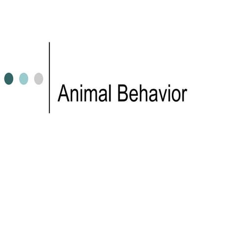 Animal behavior | PPT