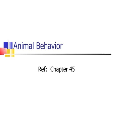Animal adaptations | PPT