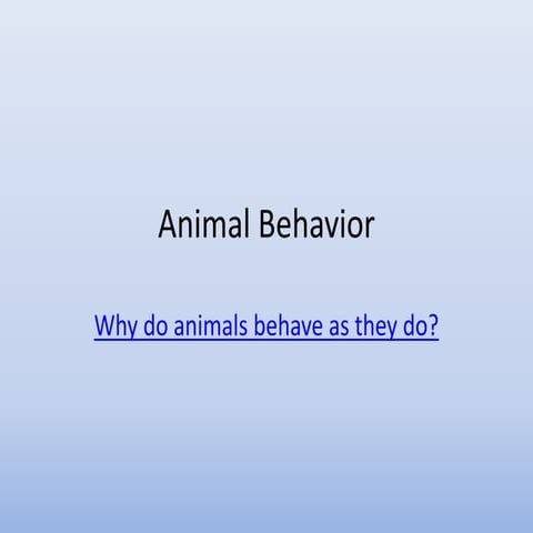 Animal behavior | PPT