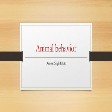 Animal behavior | PPT