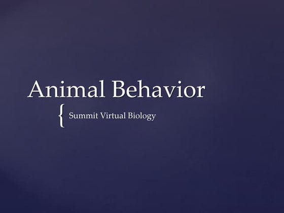 animal behaviours and its types with examples | PPTX