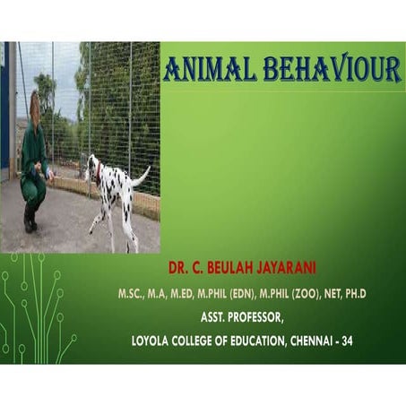 Animal behaviour | PDF