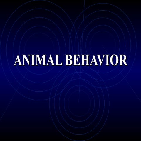 Animal behaviour ,,,,,,,,,,.................................ppt