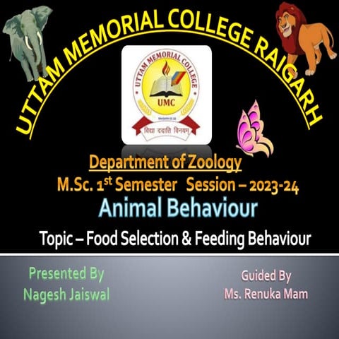 Animal Behaviour And Food Collection Pptx