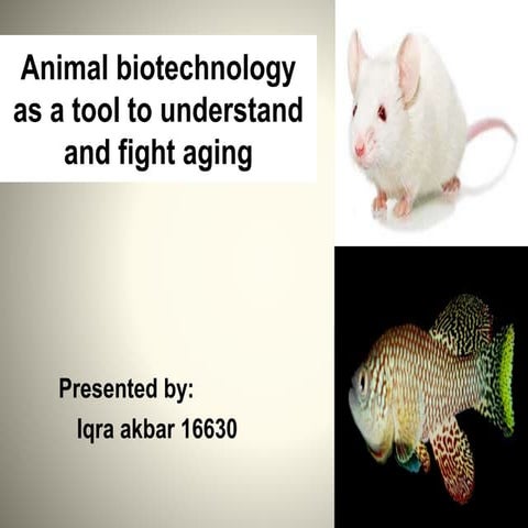Aging and animal biotechnology | PPT