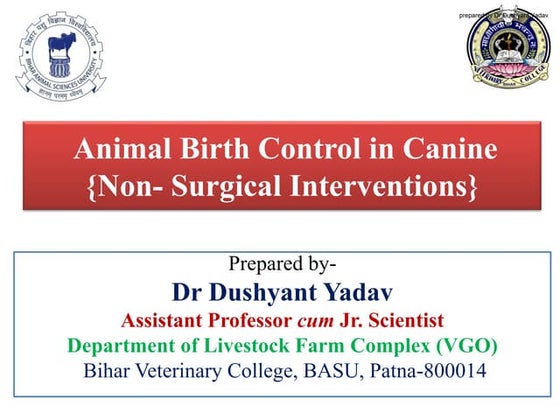 Lecture 8 anestrus in domestic animals | PDF | Pregnancy | Reproductive ...