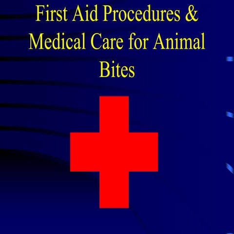 Animal Bite.ppt