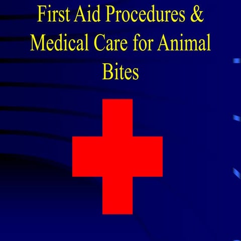 First Aid Procedures and Medical Care for Animal Bites | PPT