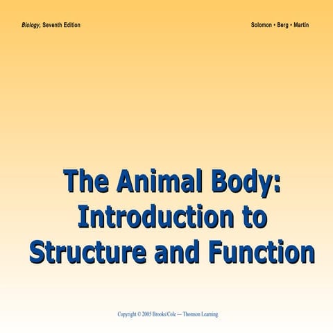 Animal body | PPT