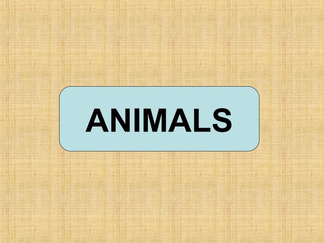 Animal body parts | PPT