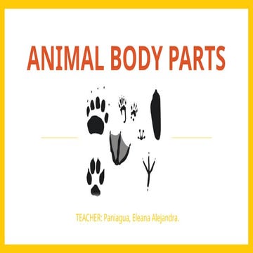 Animal body parts Animal body parts.pptx