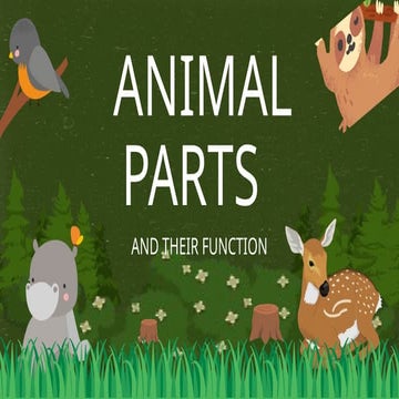 ANIMAL BODY PARTS and their functions.pptx