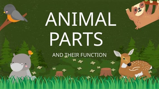 Body Parts of Animals and their Functions.pptx