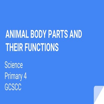 ANIMAL BODY PARTS AND THEIR FUNCTIONS Science P4 .pptx
