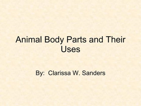 Animal body parts | PPT