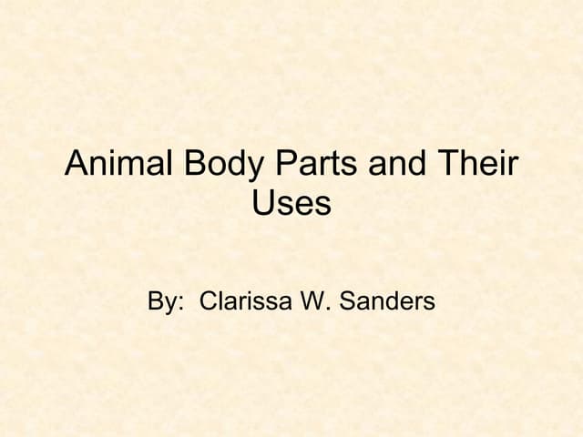 Animal body parts | PPT