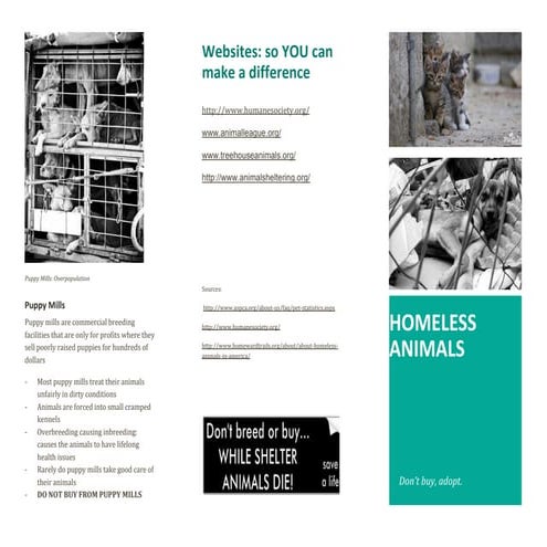 Homeless Animal Brochure | PDF