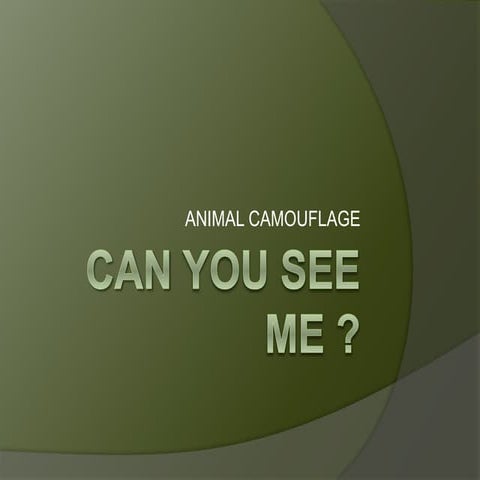 Animal camouflage | PPTX