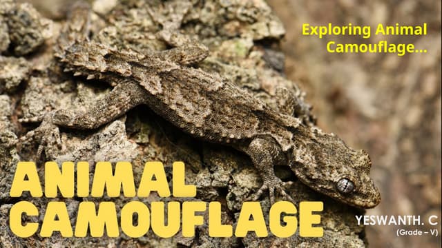 Camouflage and Mimicry | PPTX