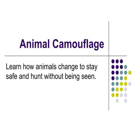 Animal camouflage (2) | PPTX