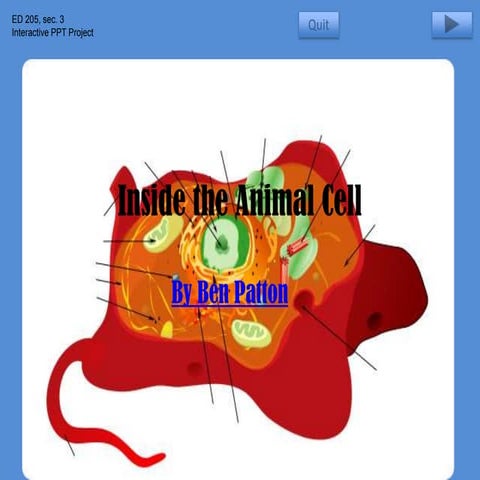 Inside the Animal Cell | PPTX