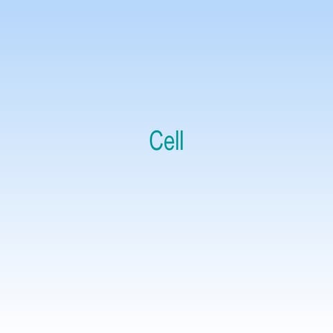 Animal cell | PPT