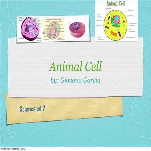 Animal cell | PPT