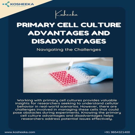 Primary Cell Culture Advantages and Disadvantages: Navigating the ...