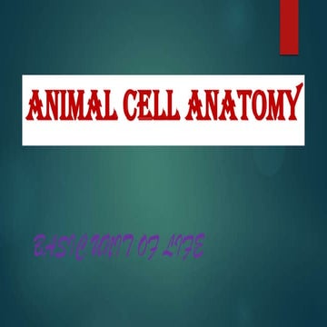 Animal cell anatomy power point | PPTX