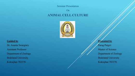 Various types of cell cultures | PPTX | Biological Sciences | Science
