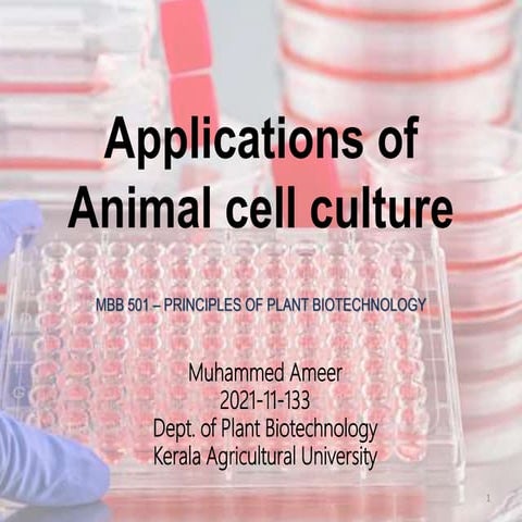 Animal Cell Culture.pptx