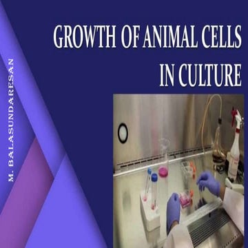 ANIMAL CELL CULTURE.pdf