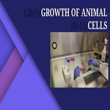 Animal cell culture studies in Bpharm III sem.pptx