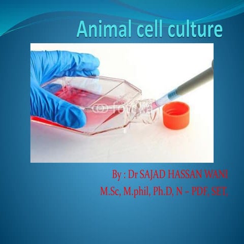 Animal cell culture introduction and equipments | PDF
