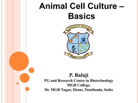 Animal cell culture technique : overview & procedures | PPTX | Biological Sciences | Science
