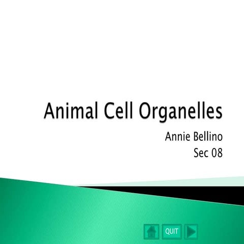 Animal Cell Organelles | PPTX