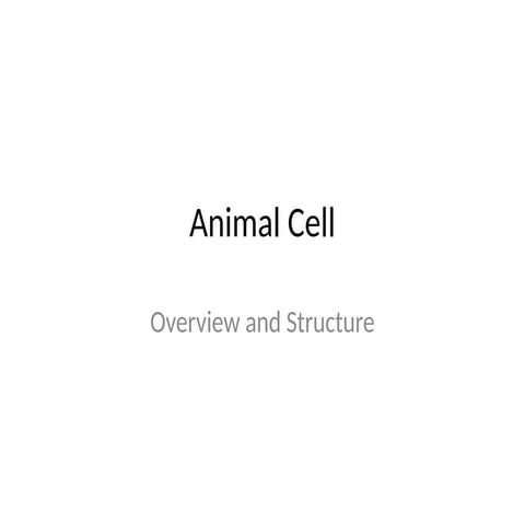 Digestion_Presentation.pptx human stomach | PPTX