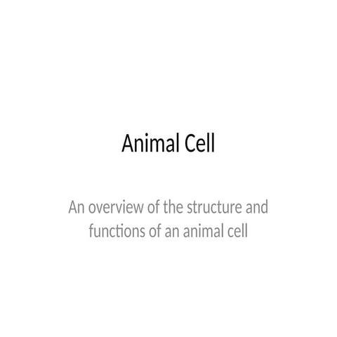 Animal Cell Presentation in Orange Illustrative Style.pptx