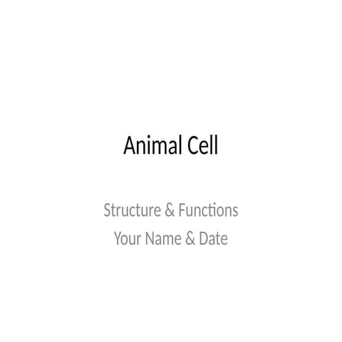Animal Cell Presentation in Orange Illustrative Style.pptx