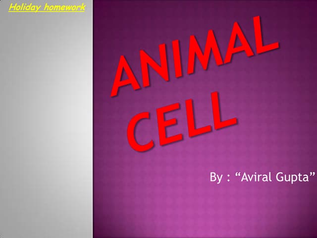 Organelles in an Animal Cell | PPT