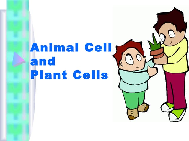 Plant and Animal Cells | PPTX