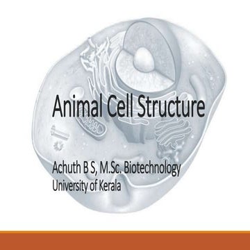 Animal Cell Structure | PPTX
