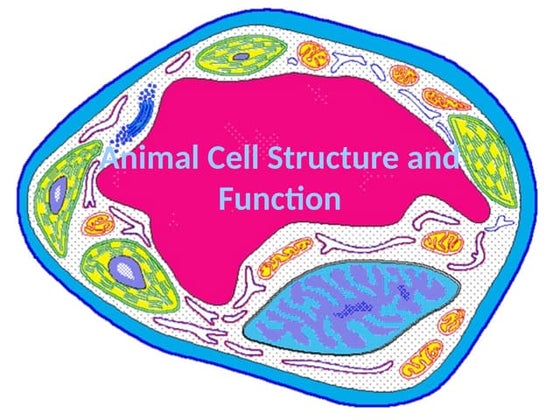 Cell Structure & Function | Cambridge IGCSE Biology | PDF