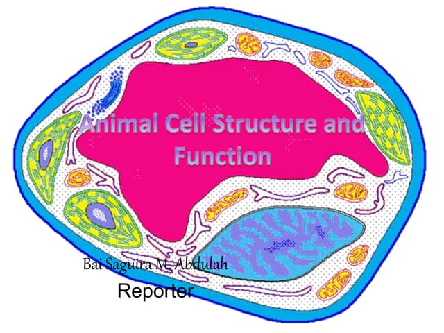 Ultrastructure of prokaryotic and eukaryotic cells | PPTX