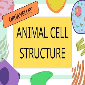 Animal Cell Structure.pptx describes the functions of common organelles ...