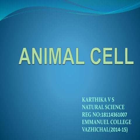 Animal cell | PPT